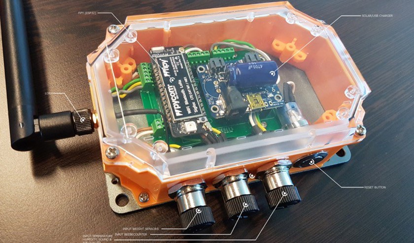 Triple IoT helps save the bees